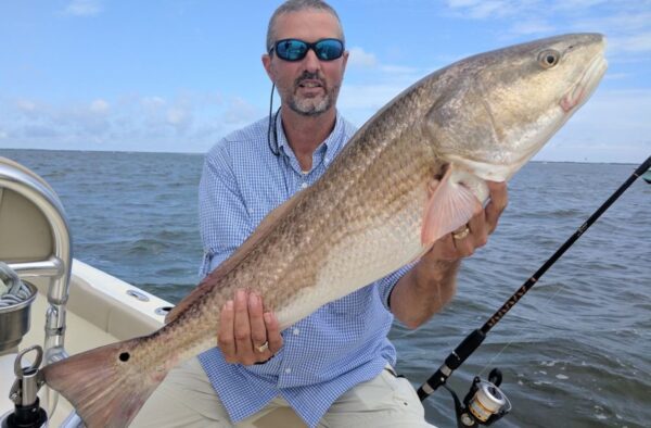 How to Catch Redfish - Everything you Need to Know - Captain Content