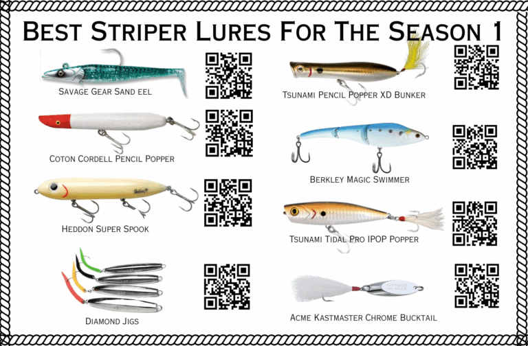 Best Striped Bass Lures For The Season - Captain Content