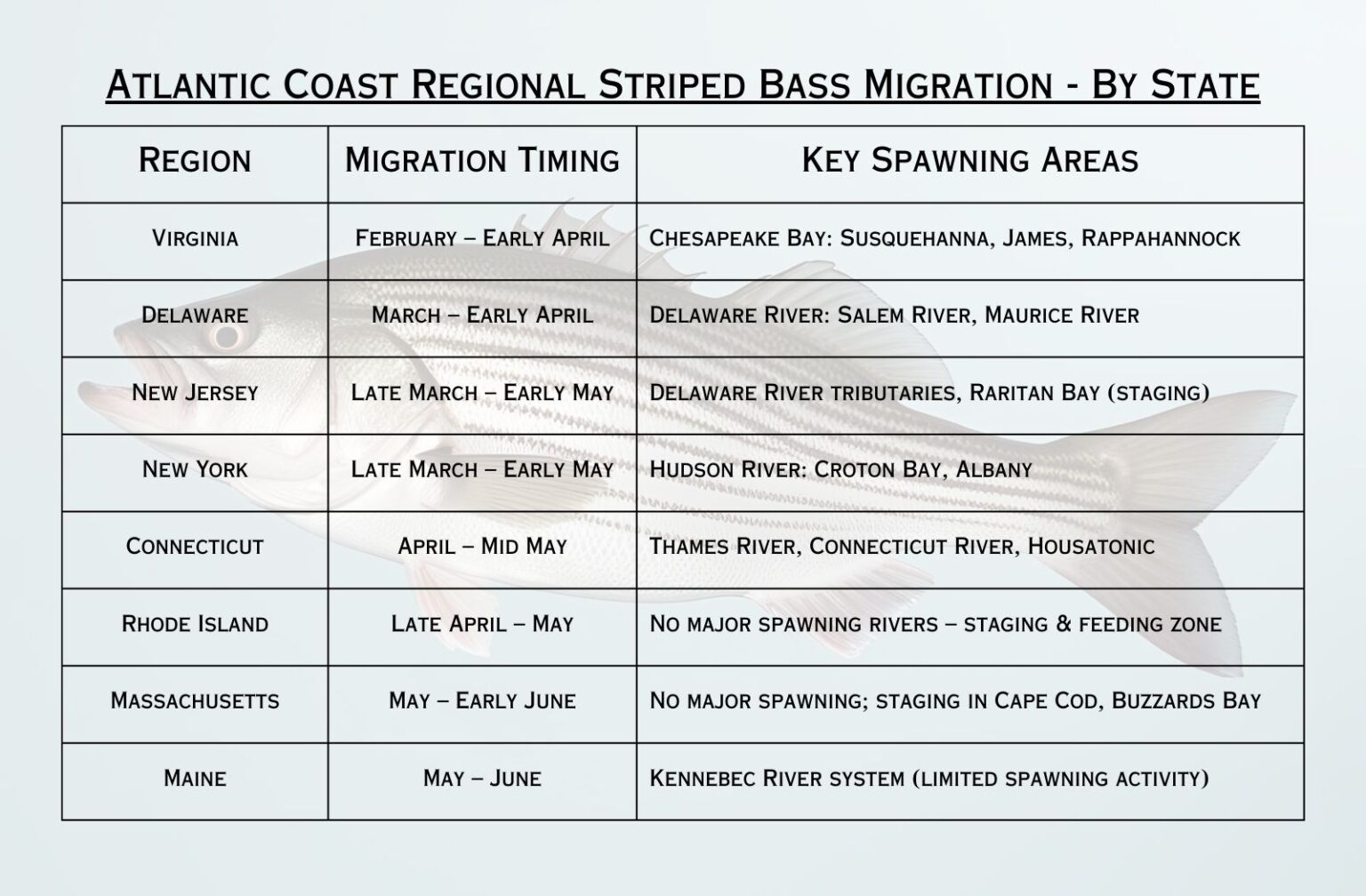 Striped Bass Season – Migration, Gear, And Hot Spots - Captain Content