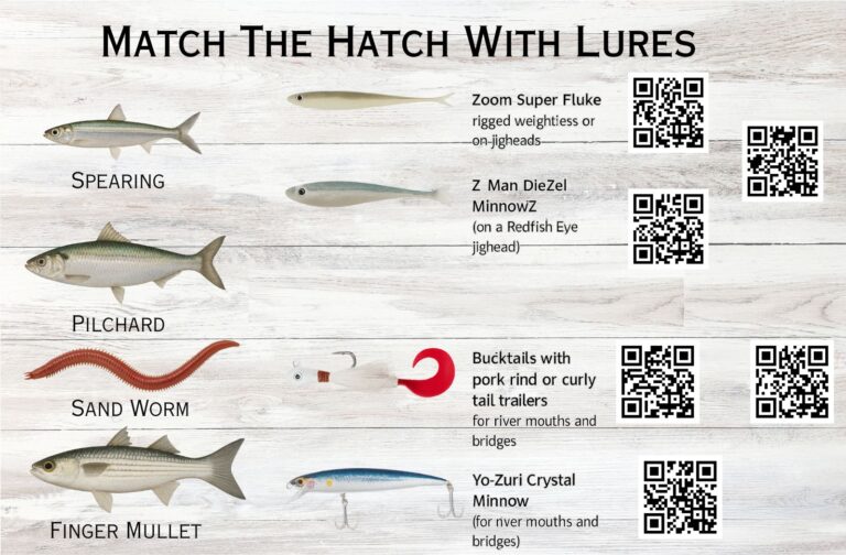 Best Striped Bass Lures For The Season - Captain Content