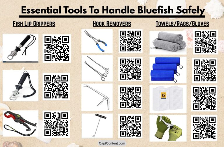 Master Bluefish Fishing: Behavior, Gear & Pro Tips - Captain Content