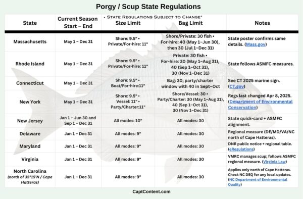 How To Fish For Porgy: Best Bait, Gear, Hot Spots, And Recipes ...